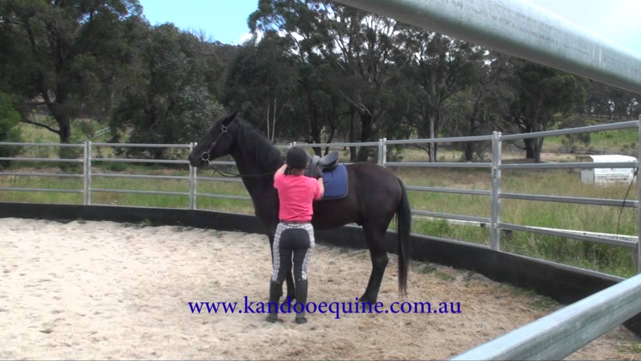 Mounting Your Horse - YouTube