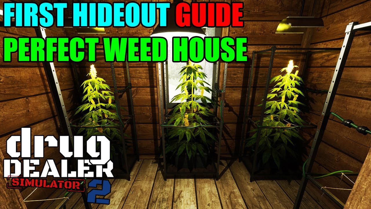 Drug Dealer Simulator 2 First Hideout & Marijuana Operations Guide! - YouTube