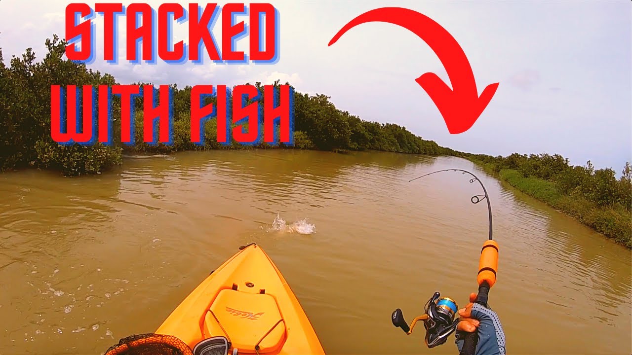 THIS SPOT WAS STACKED WITH FISH!!! PORT MANSFIELD FISHING - YouTube