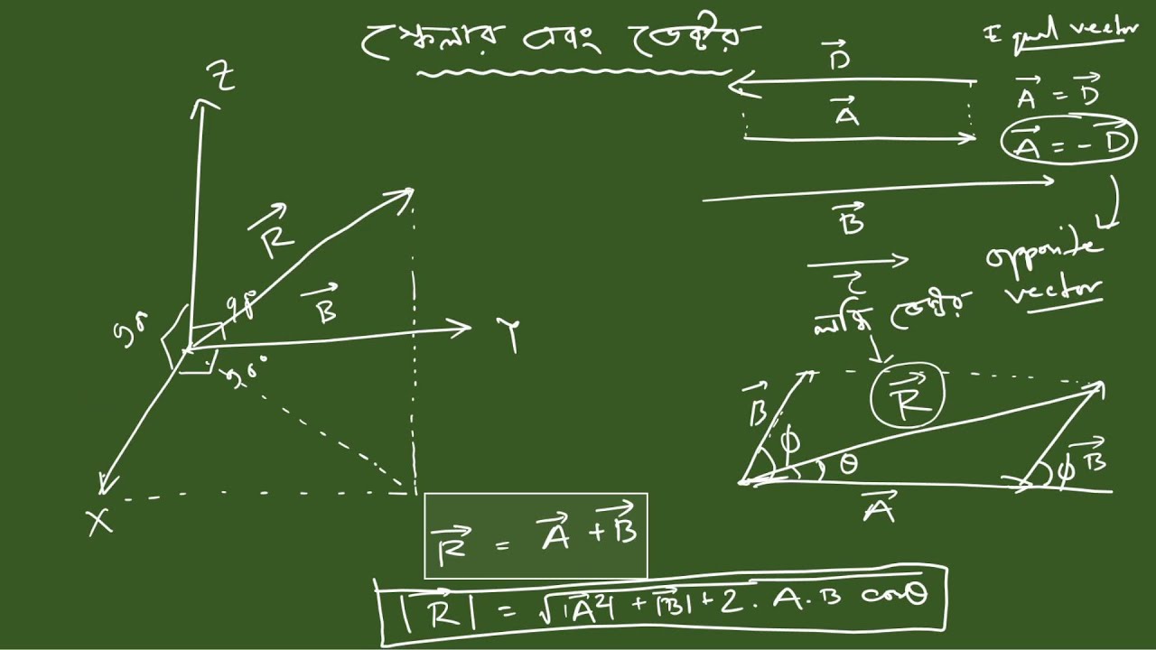 Scalar and Vector Class 4 | Dot Product & Applications | WBSSC SLST ...