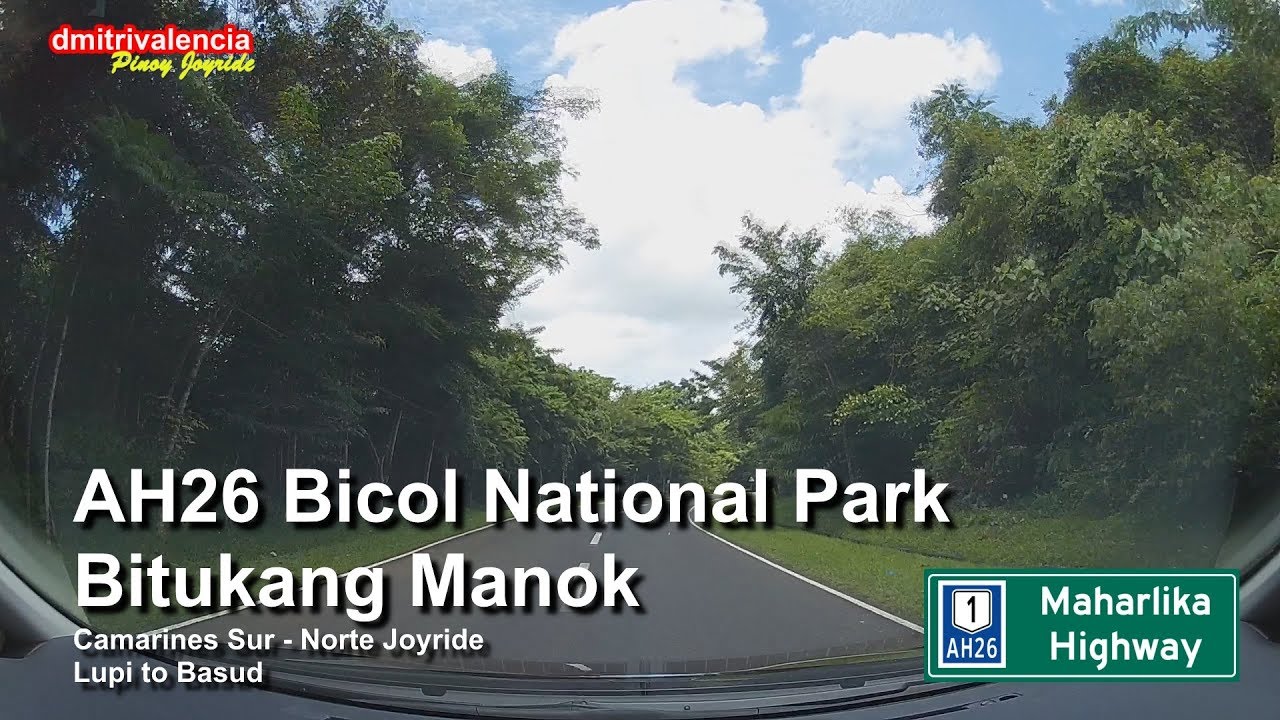 Pinoy Joyride - AH26 Bicol National Park / Lupi to Basud Joyride - YouTube