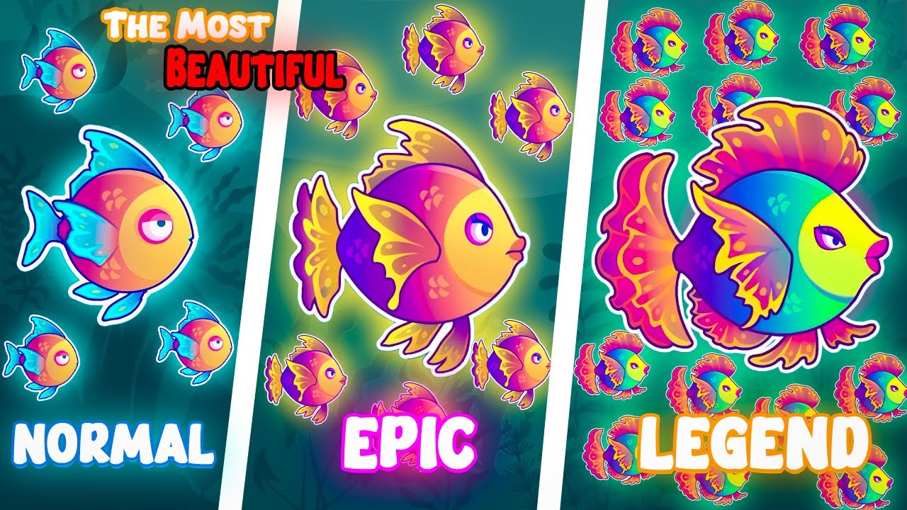 The Most Beautiful Fish in The Ocean - Hungry Fish Army - YouTube