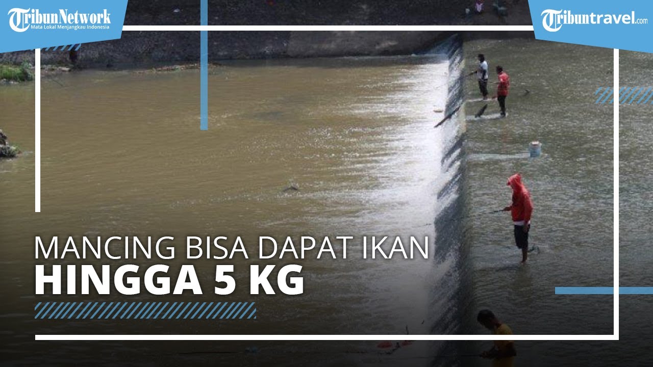 Bendung Simongan Semarang Jadi Spot Favorit Pemancing, Tak Perlu Bayar ...