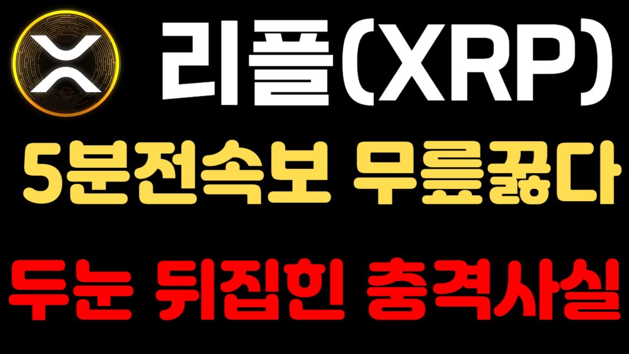 리플 Sec항소 리플의 교차항소 이제 다 되었습니다 그러나 반드시 확인해야 하는 단 한가지 지금 바로 빨리 확인하세요 리플 리플교차항소 Sec항소 리플심훈