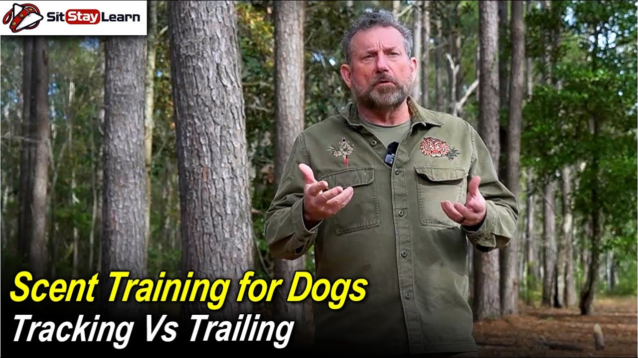 Scent Training for Dogs - Tracking Vs Trailing with Jeff Shettler - YouTube