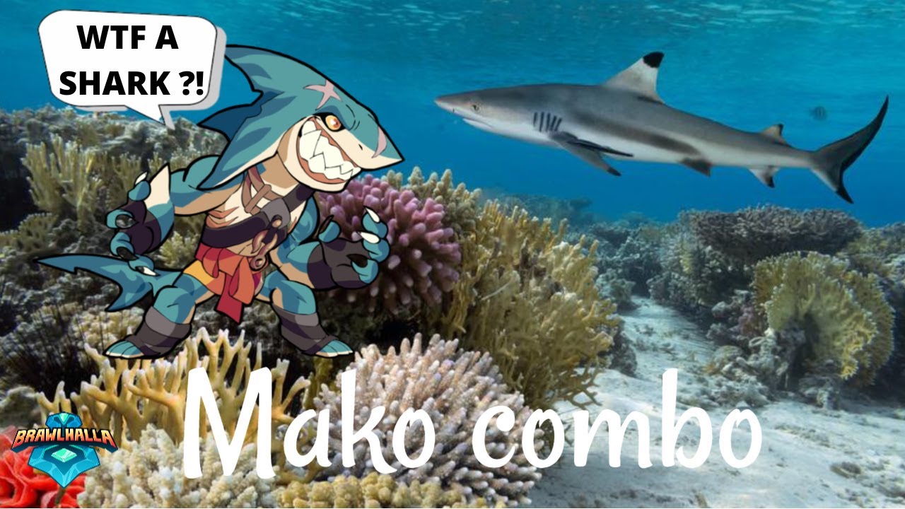 How To Play Mako - YouTube
