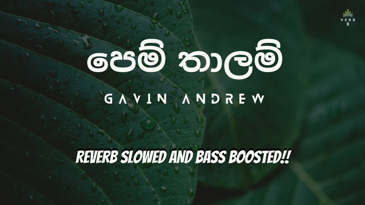 Gavin Andrew - Pem Thalam (පෙම් තාලම්) | Use Headphones [Slowed Bass ...