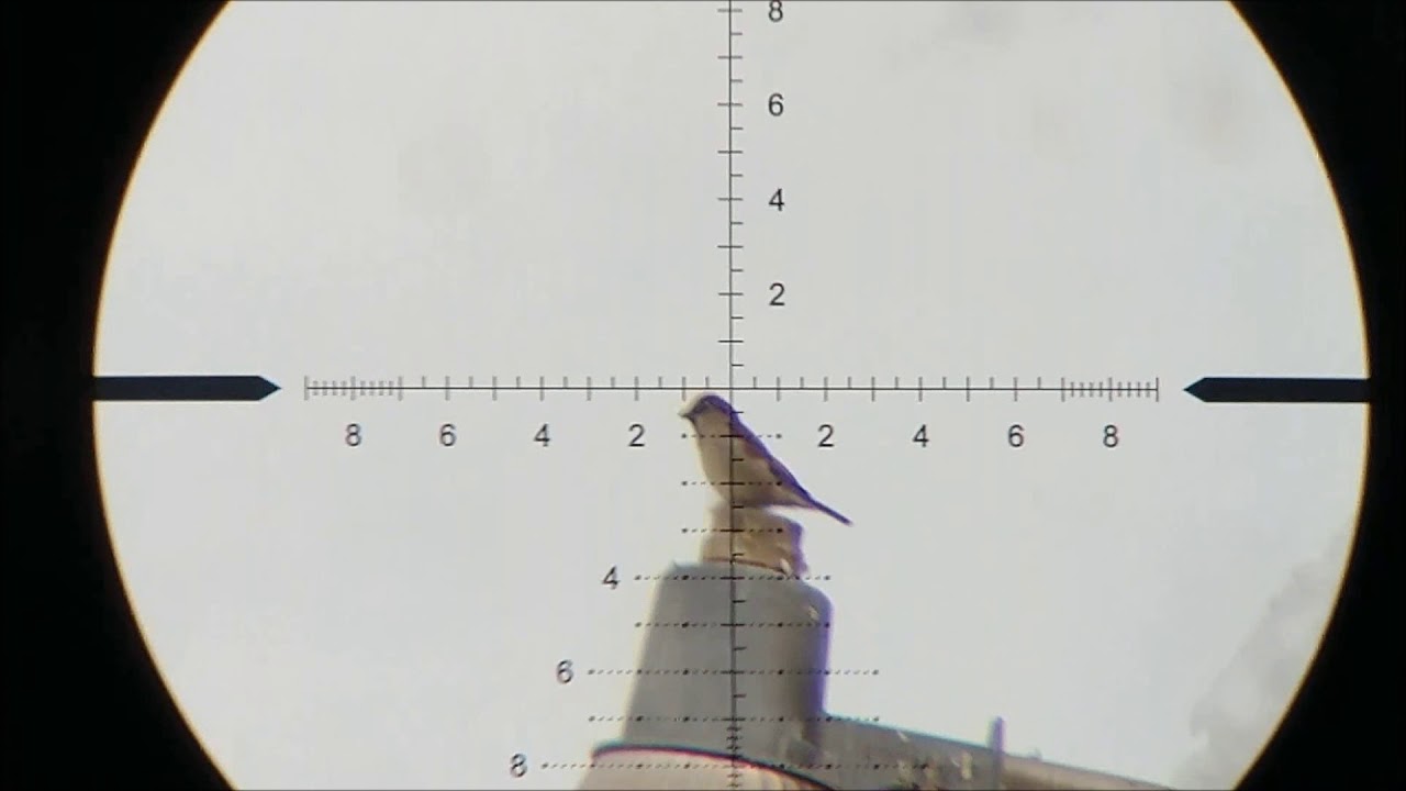 FX Crown 22 w/ 600mm slug liner - NSA 23gr - Personal best long shot ...