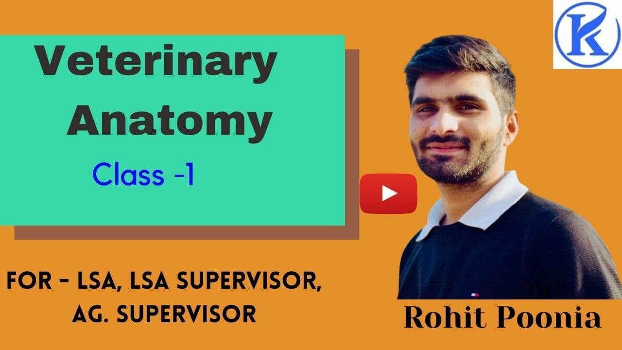 Veterinary Anatomy | Class -1 - YouTube