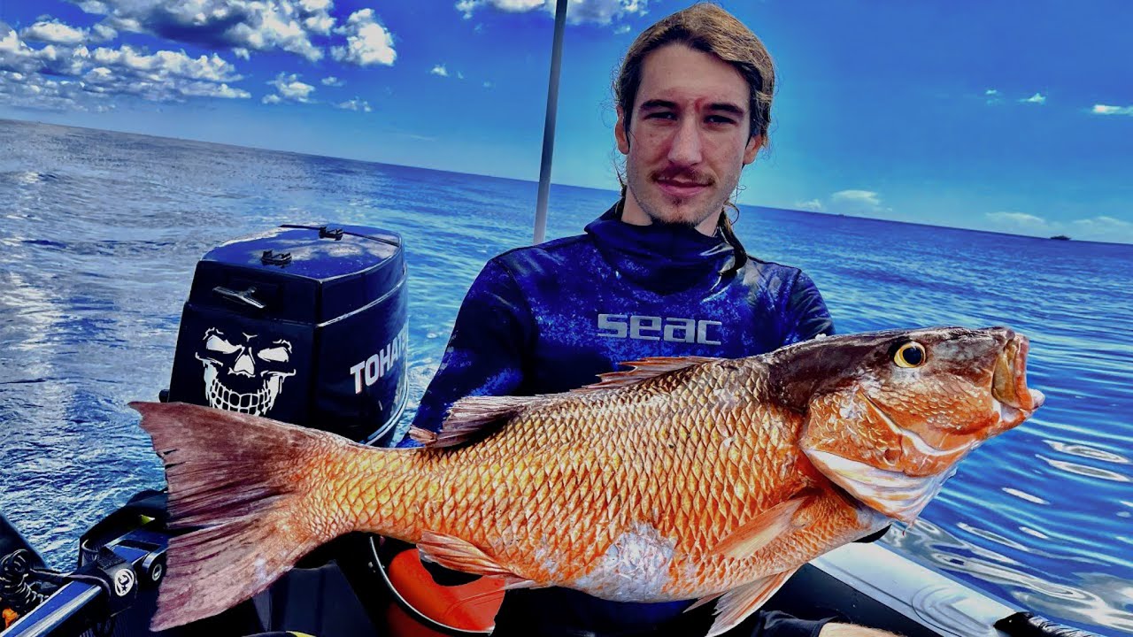 MY BIGGEST Mangrove Snapper & Lobsters STACKED - YouTube