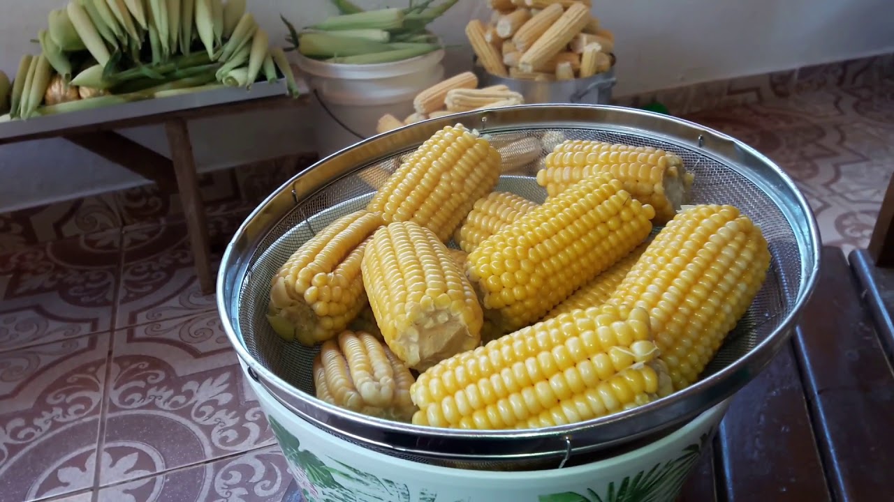 COMIDAS DA ROÇA 22 01 2019 - YouTube