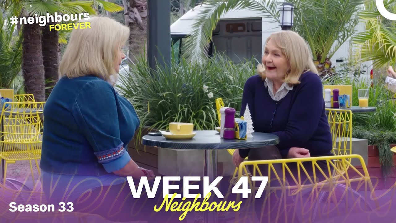 WEEK 47 | Episodes 7741-7745 | Neighbours 2017 (Season 33) - YouTube