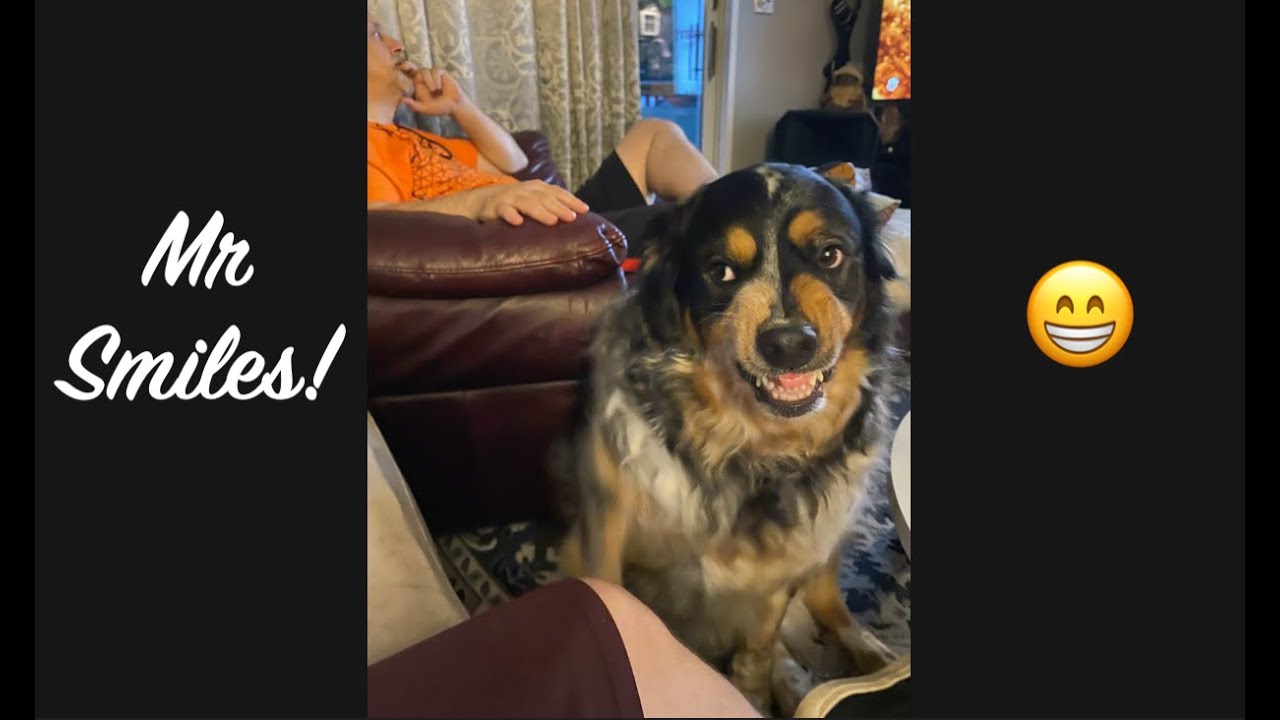 Mr Smiles! - YouTube