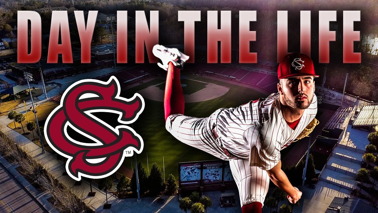 Gamecock Baseball Wallpaper