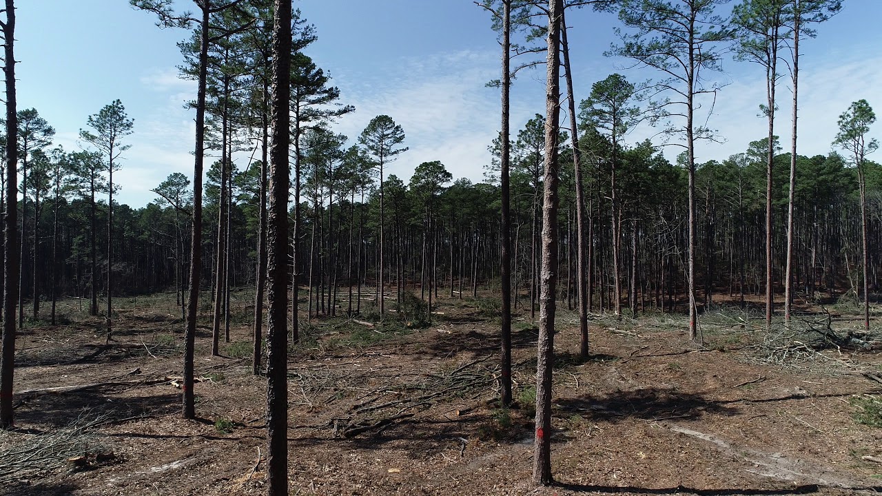 Drone Footage of Variable Retention Harvesting 2 - YouTube