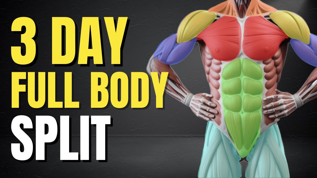 The ONLY Full Body Workout Plan You Need (3 Days a Week) - YouTube