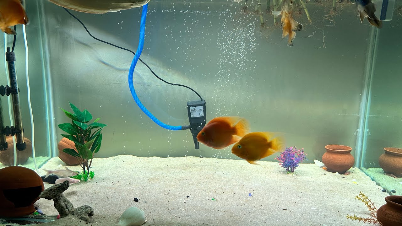 new top filter created this is very silent,try once 👉🏻👌🏻 - YouTube