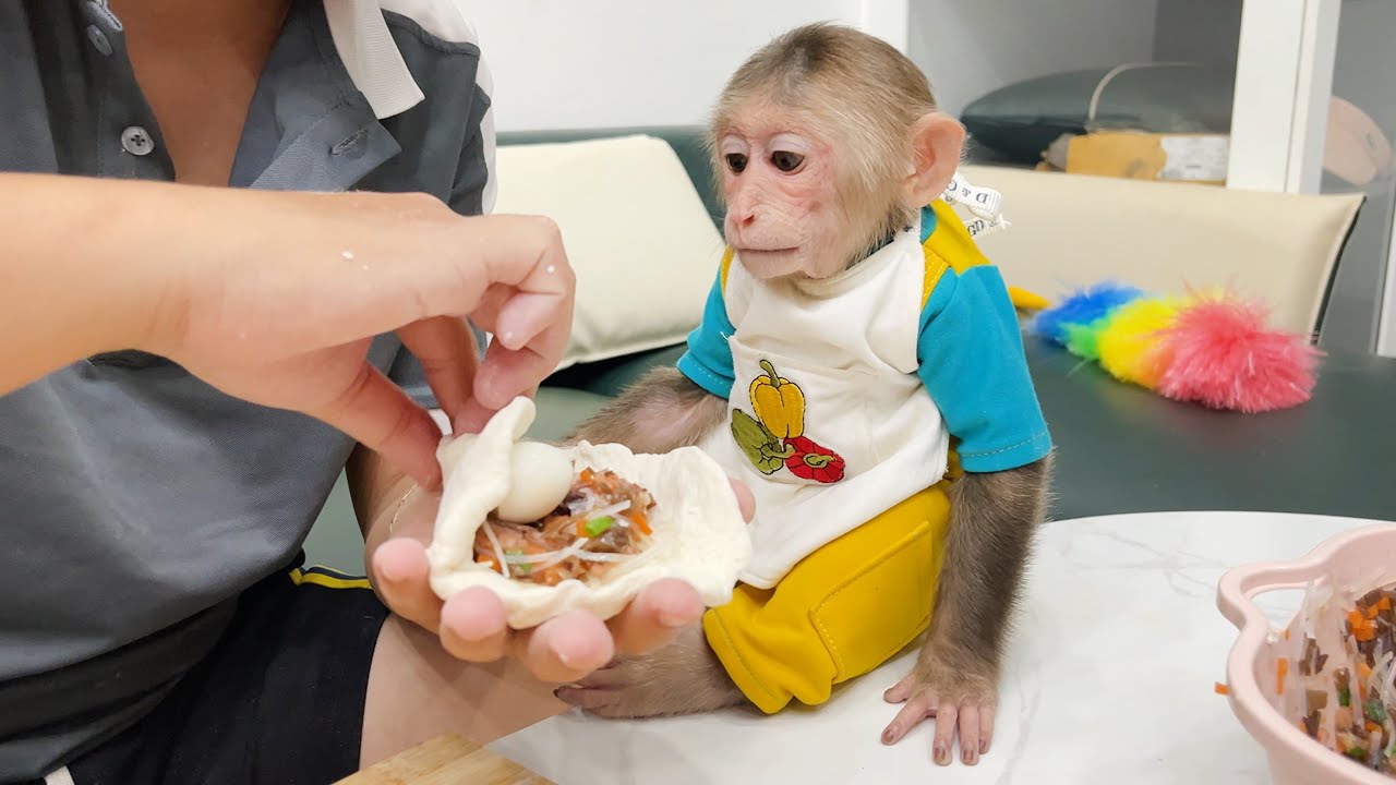 Taste of Family Cubis Monkey Helps Dad Make Homemade Dumplings 😍 - YouTube