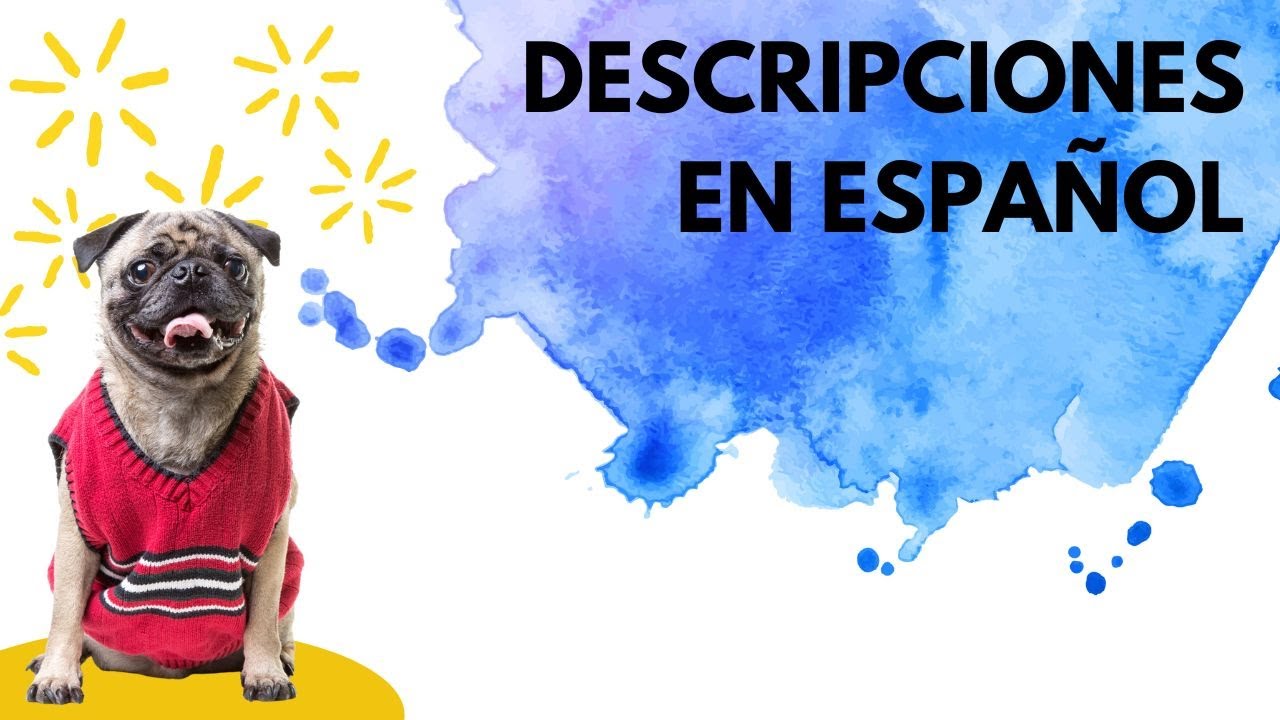Spanish for beginners (A1): How to describe people and things - YouTube