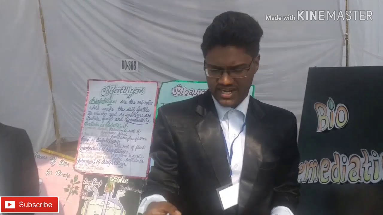 BOTANY MODEL || BOTANY MODEL FOR SCIENCE EXHIBITION || SCIENCE PROJECT ...