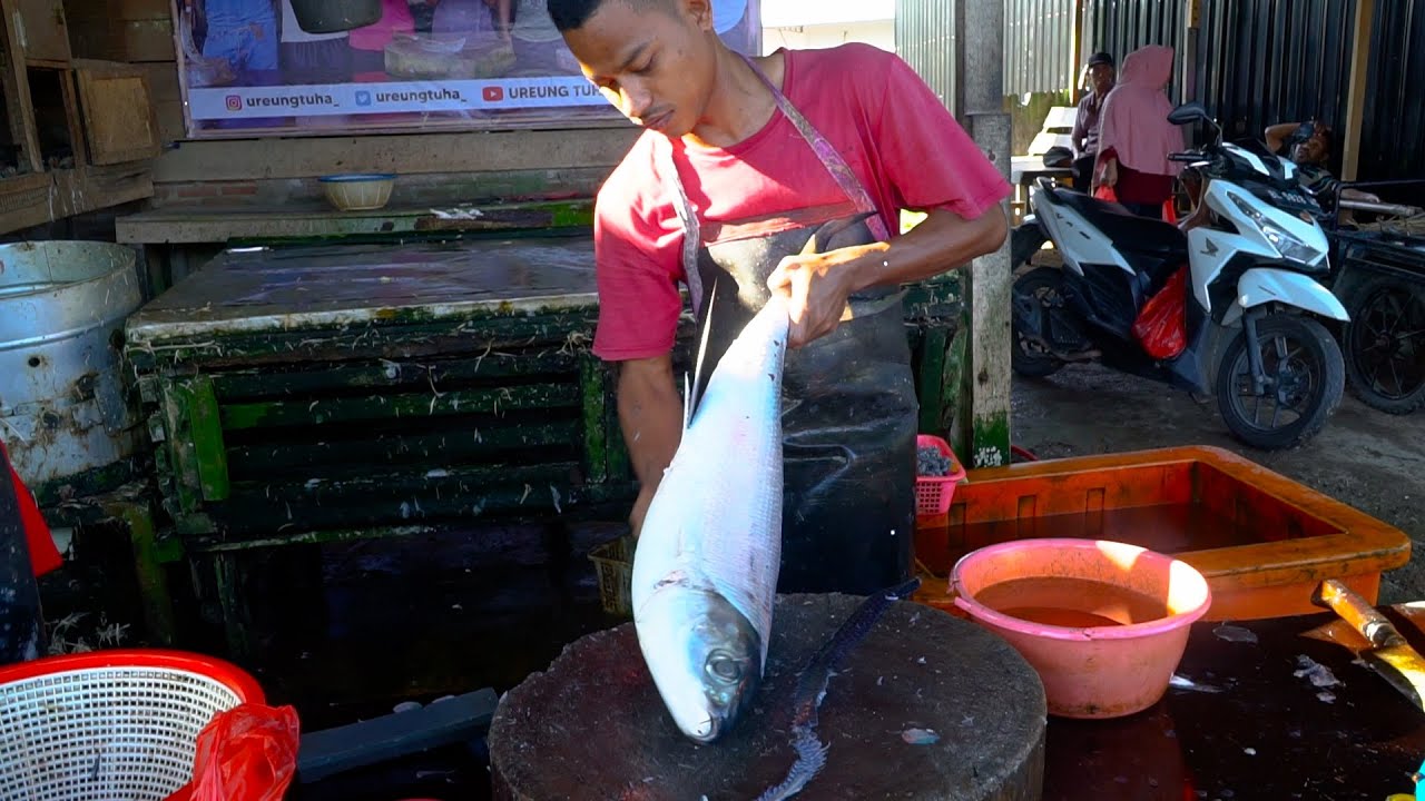AGE 17 AMAZING FISH CUTTING || MILKFISH FISH CUTTING LIVE IN FISH ...