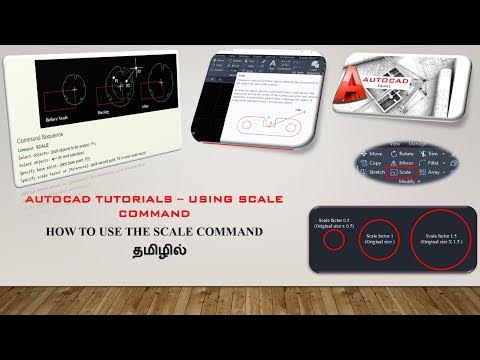 Scale Command Tutorials - YouTube