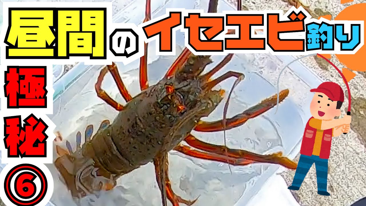 【本当は教えたくない】 伊勢海老を簡単に釣る方法 ⑥【昼間のエビ釣り】冬・仕掛け・餌 Youtube