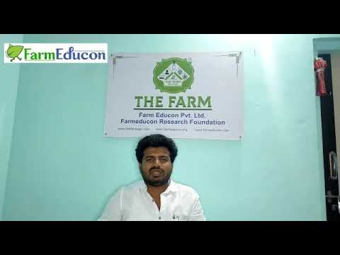 Samir Dombe, Fig Consultant - YouTube