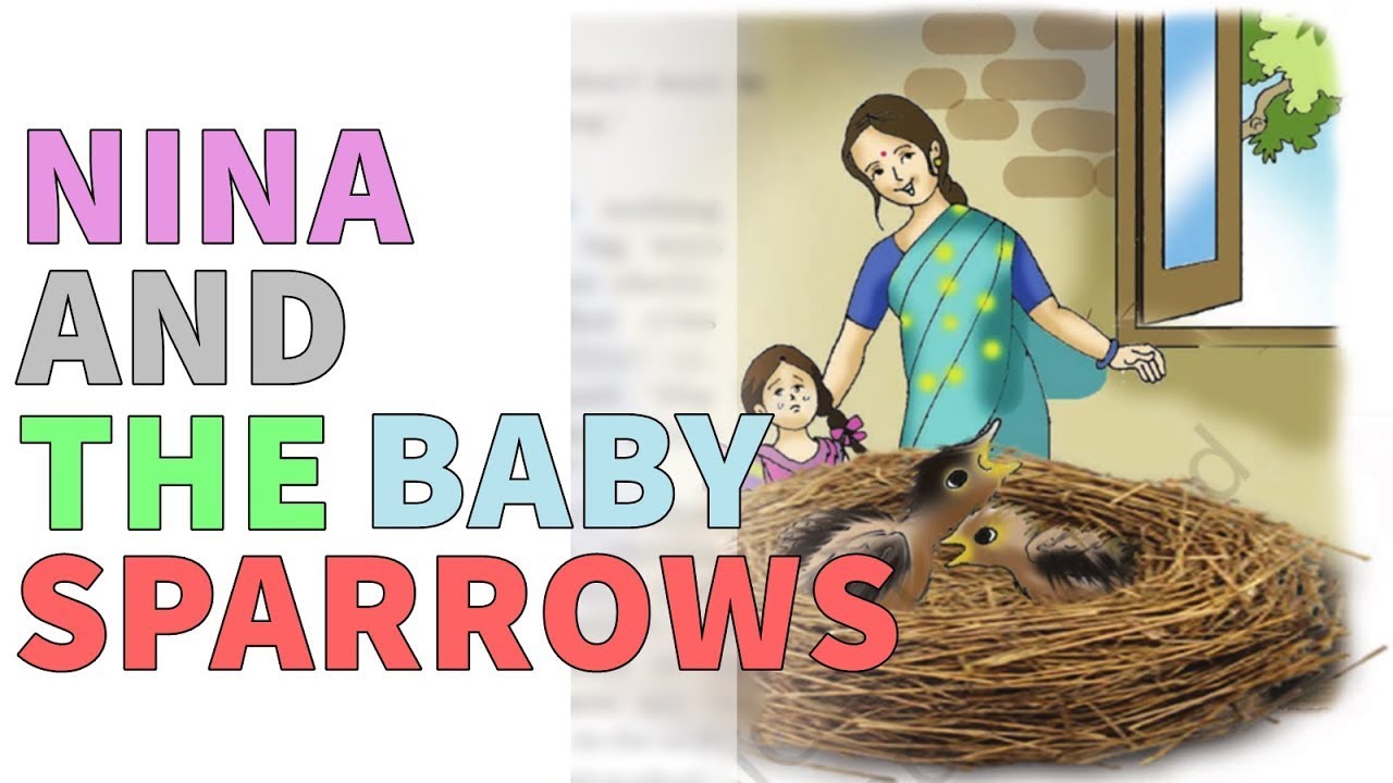 Nina And The Baby Sparrow Chapter 4 Class 3 English Question Answer nina-and-the-baby-sparrow-chapter-4-class-3-english-question-answer