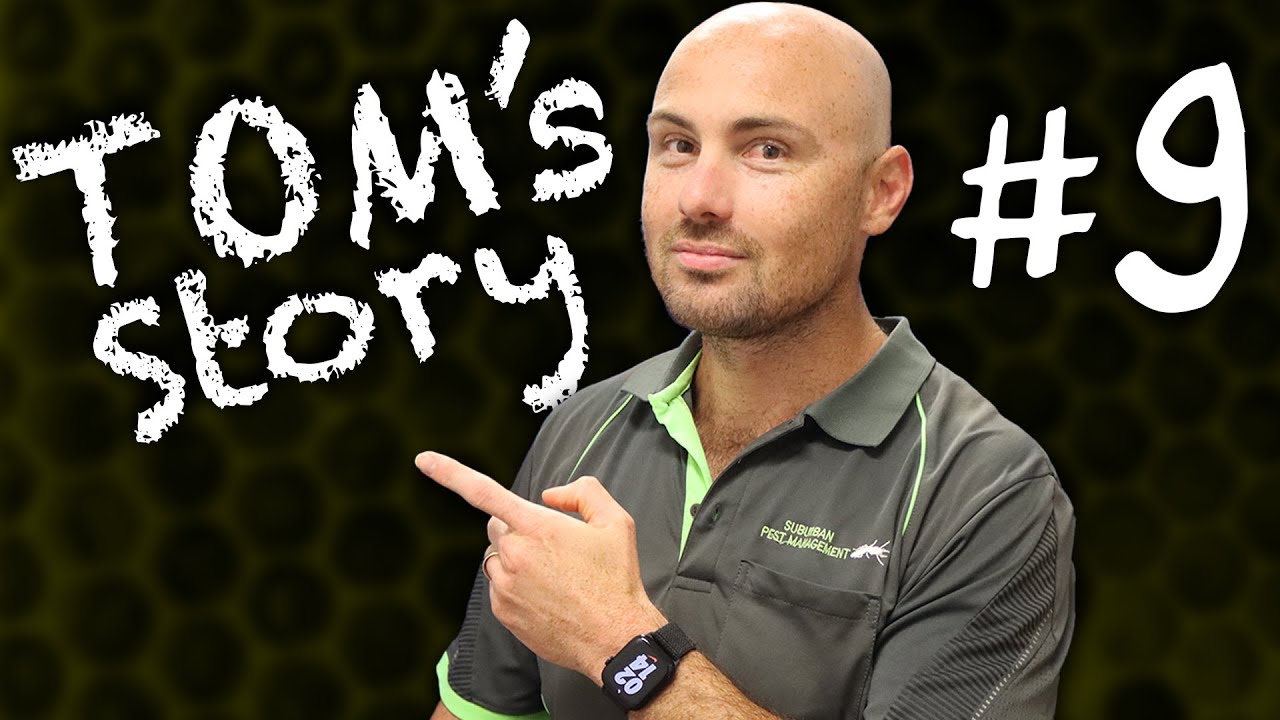 Episode 9 - Tom's Story | Small Business Survival Guide - YouTube