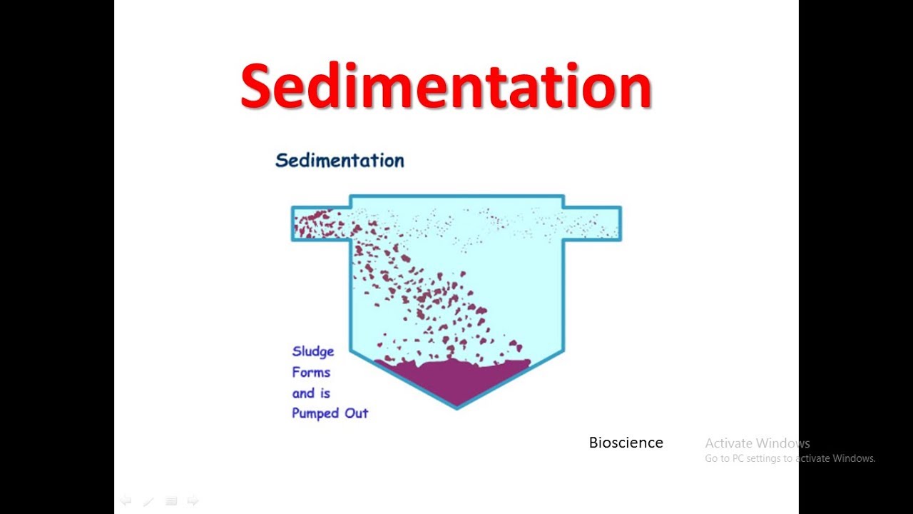 Sedimentation Introduction,Process- Downstream Prcessing - YouTube