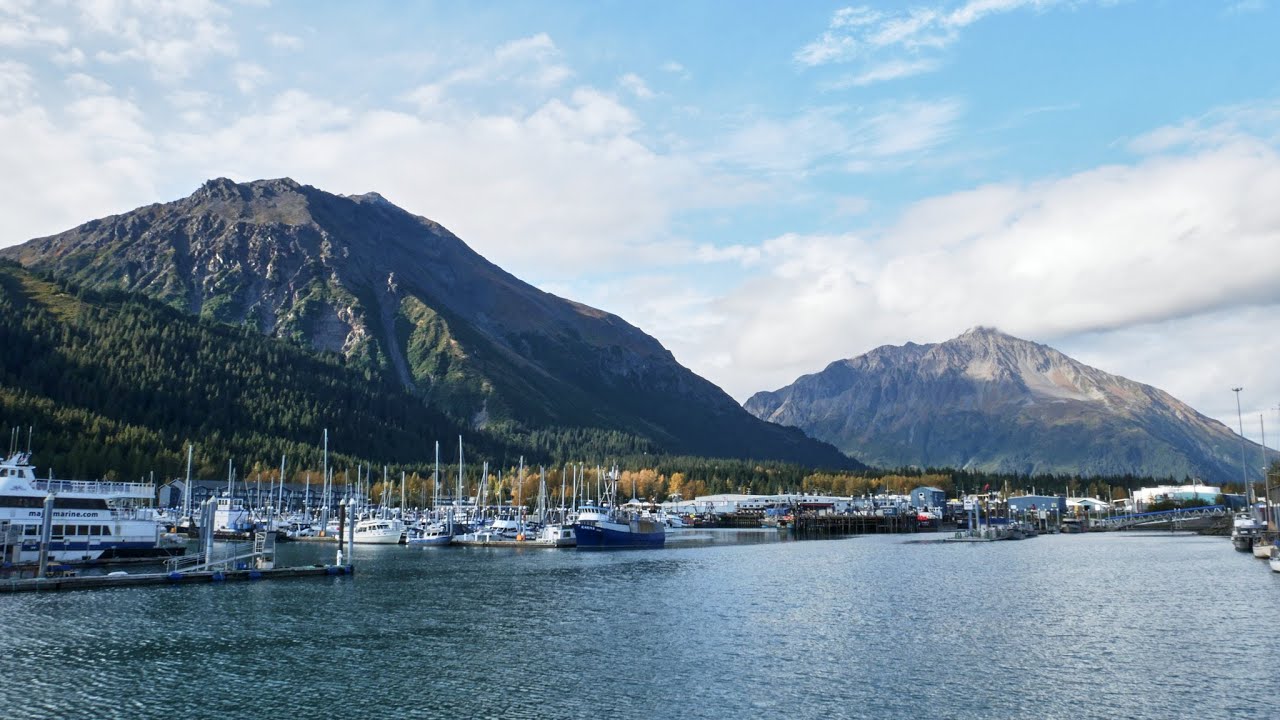 Wildlife of Resurrection Bay | Alaska Part 3 - YouTube