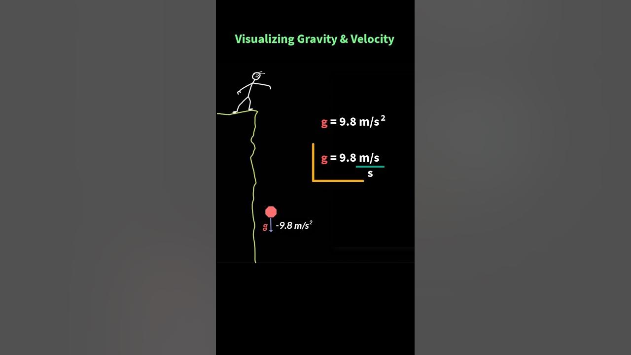what-does-9-8-m-s-really-mean-acceleration-due-to-gravity-class-11