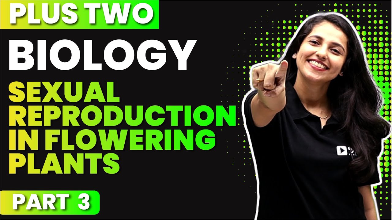 PLUS TWO BASIC BIOLOGY | CHAPTER 1 PART 3 | Sexual Reproduction in ...