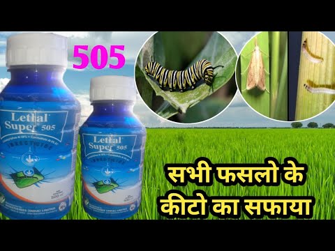 lethal super 505 insecticide | chlorpyriphos + cypermethrin - YouTube