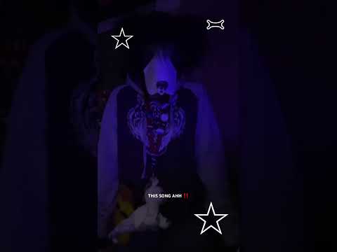 [𝘠𝘶𝘮𝘮𝘺 𝘴𝘰𝘯𝘨] [#foxtherian #therian #expression #hehim]