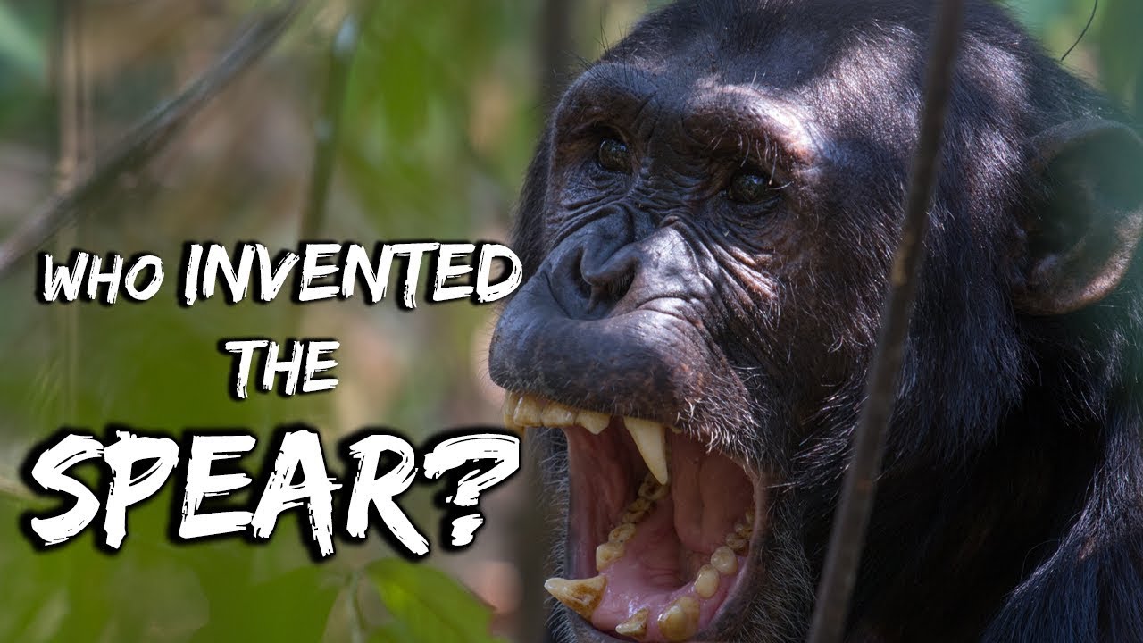 Who Invented The Spear & When? - YouTube
