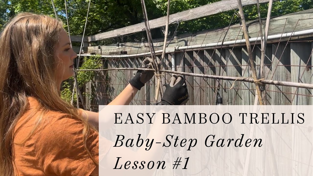 Easy Bamboo Trellis | Baby-Step Garden Lesson #1 (from my Garden to Yours) - YouTube