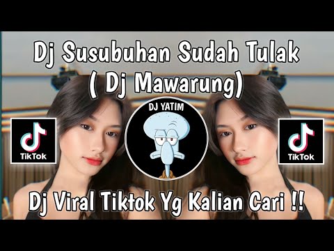 DJ SUSUBUHAN SUDAH TULAK BAPADAH MANCARI IWAK | DJ MAWARUNG REMIX MENGKANE VIRAL TIKTOK 2024 !!