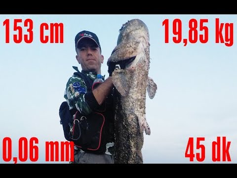 LRF ile Atçek (Spin) TÜRKİYE REKORU (Yayın Balığı Avı) - V-Team (Balık Avı) Barış AVKAN