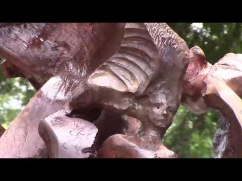 Radica di ulivo -Opera di Mario Termini Scultore Siciliano - YouTube