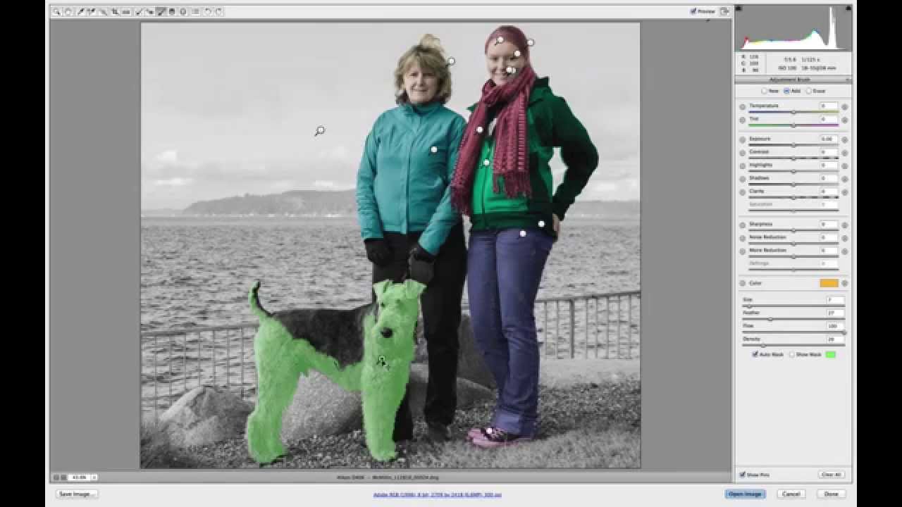 Hand Tint Black and White Digital Images With Adobe Camera Raw - YouTube