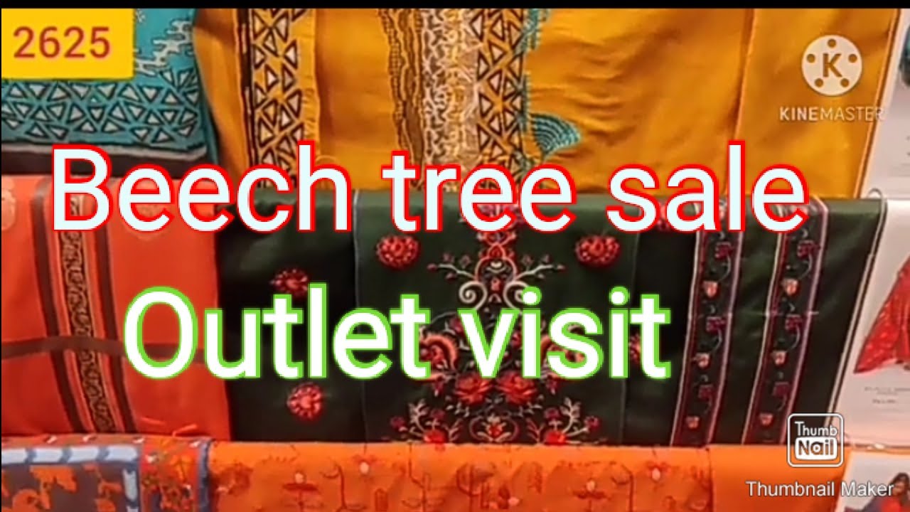Beech tree sale outlet visit - YouTube