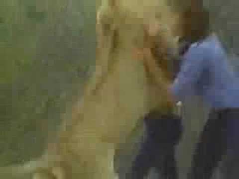 Sevgi böyle bir şey işte