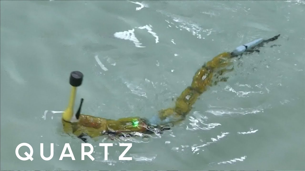 A robotic eel that sniffs out pollution - YouTube