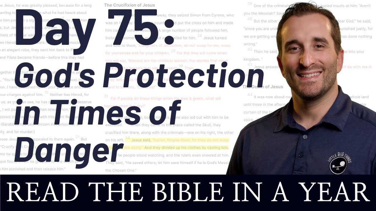 Day 75: 1 Samuel 21-24 - God's Protection in Times of Danger | Bible in ...