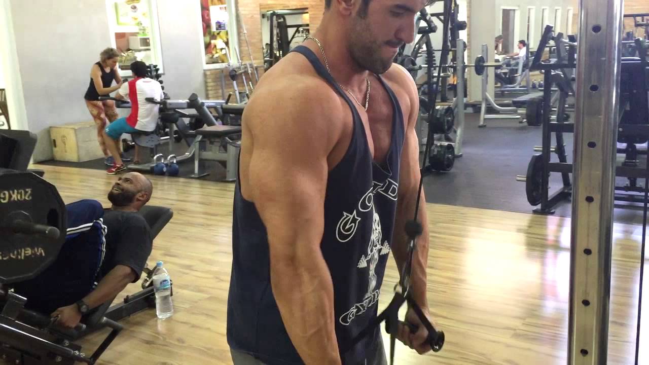 TRICEPS INVERTIDO: Variação com 2 estribos - YouTube