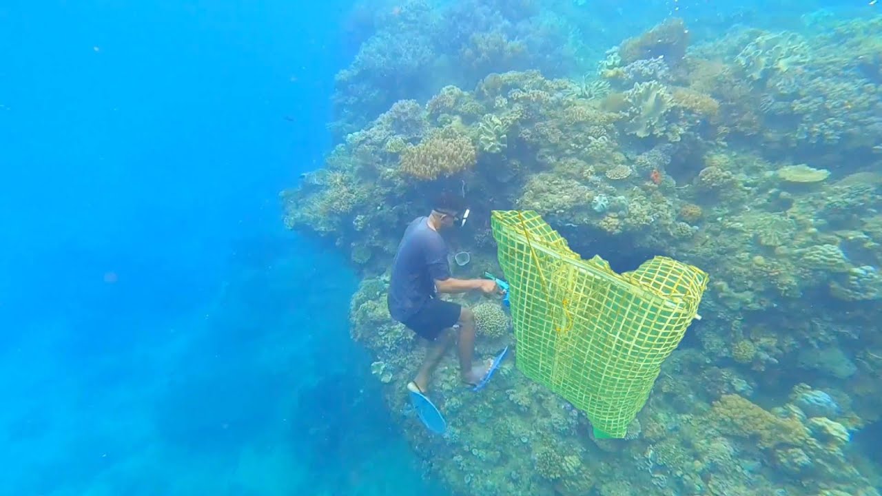 Paghulog ng Bubo Trap at Sumubok ng Spearfishing - YouTube