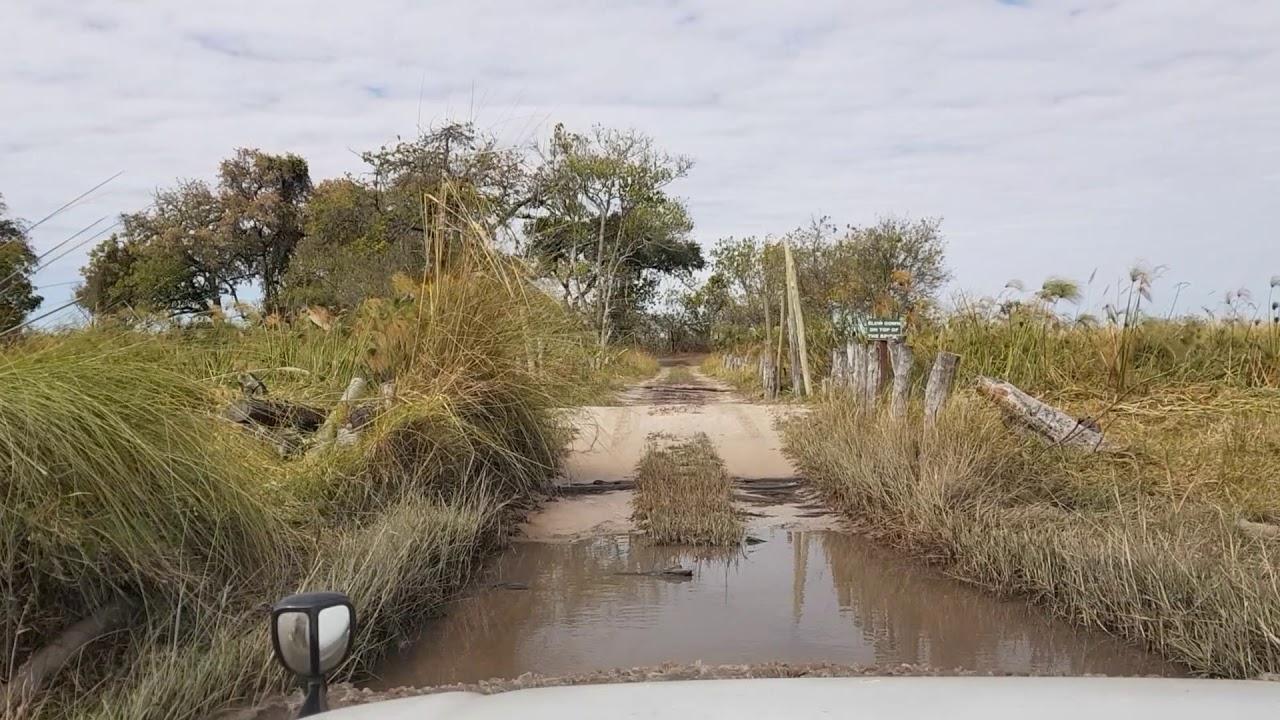 Crossing Third Bridge in Moremi Game Reserve - YouTube