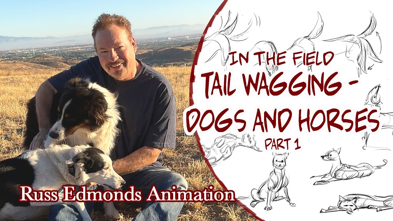 Tail Wagging - Dogs and Horses / Animation drawing from life and ...